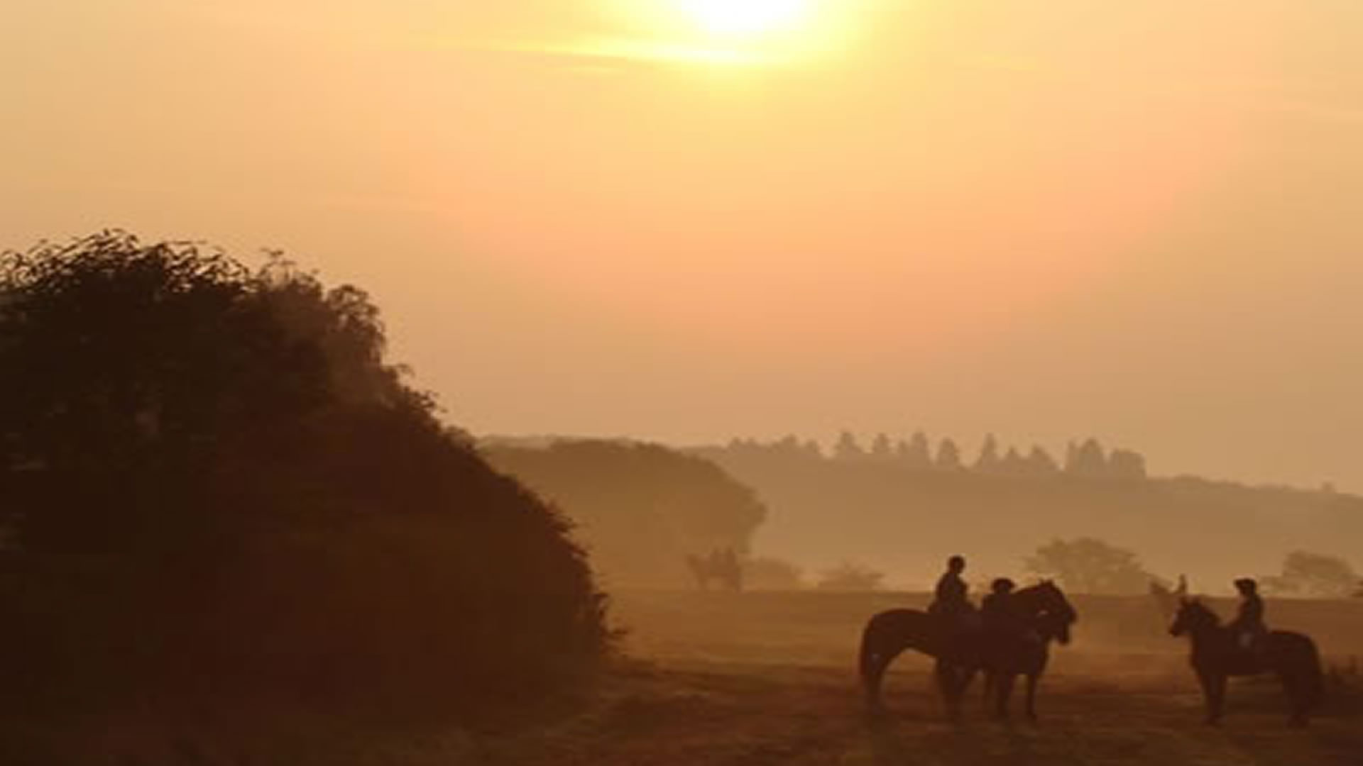 The Cottesmore Hunt - Home page